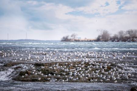 Fort Niagara State Park - Niagara Falls USA
